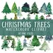 Watercolor Christmas Tree Clipart: 30 PNG Pine Tree Files (digital ...