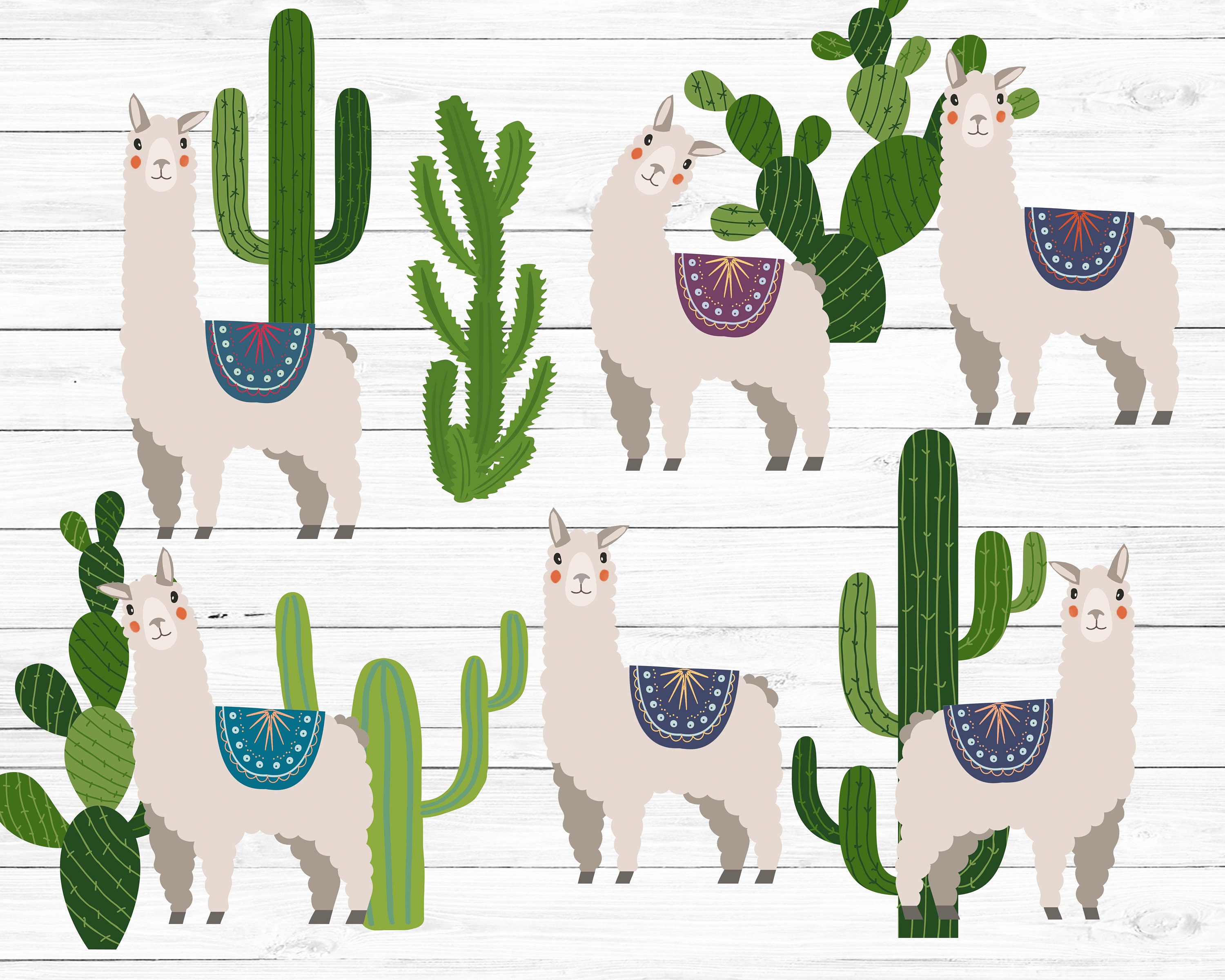 Alpaca Llama Digital Clip Art Png Files Cactus Clip Art - Etsy UK