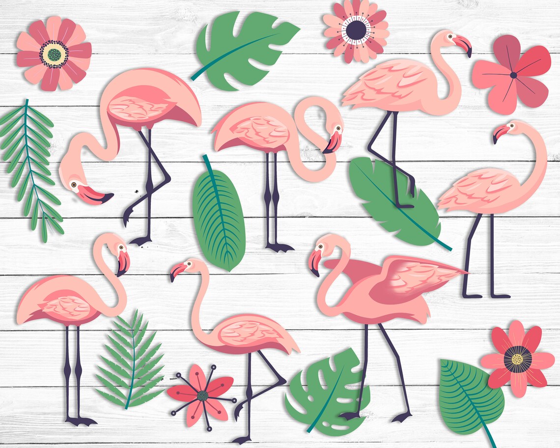 Flamingo Tropical Digital Clip Art Png Files - Etsy