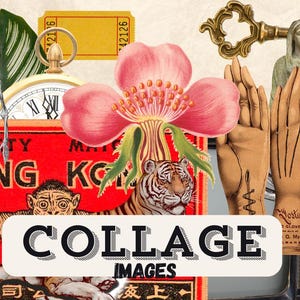 Vintage Digital Collage Images: 200+ Antique Pngs (digital Download) - Etsy