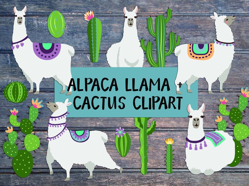 Alpaca Llama Digital Clip Art Png Files Cactus Clip Art Holiday Llama ...