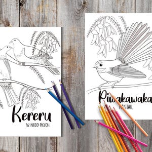 New Zealand Birds Coloring Pages: Hand-drawn Native Designs (digital ...