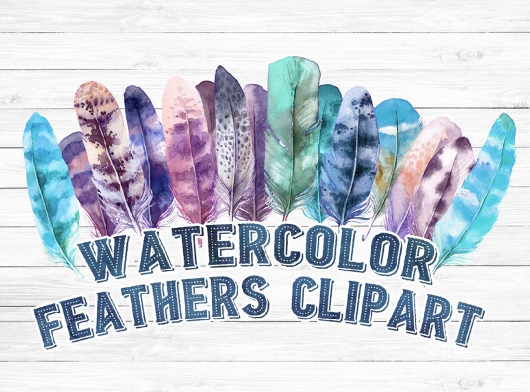 Watercolor Feathers Clip Art, Hand Painted Feathers, Instant Download ...