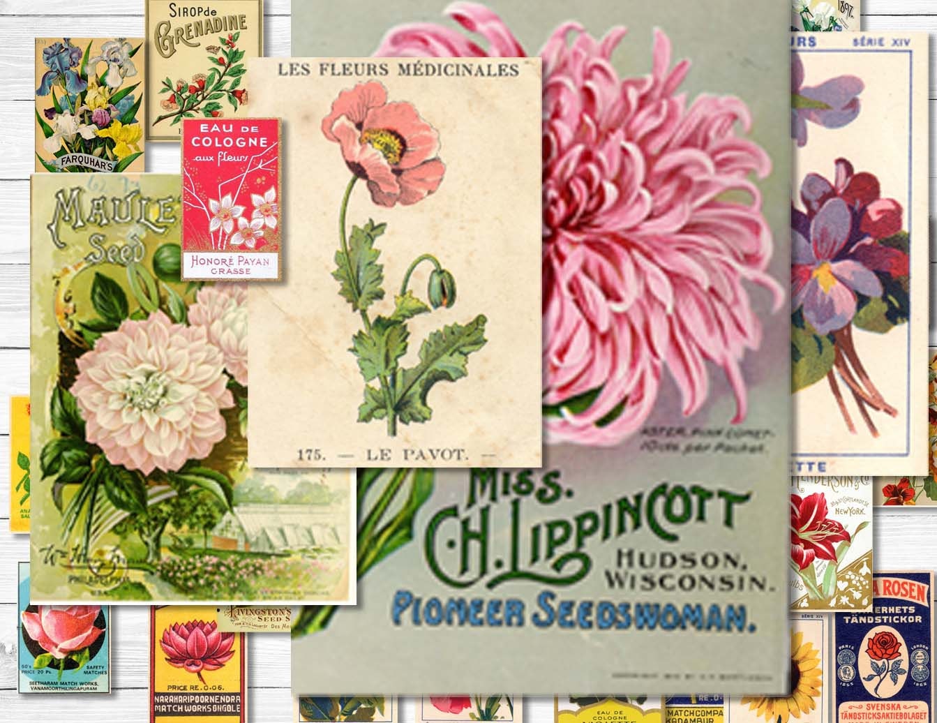 Flower Ephemera Digital Clip Art 50 .png Files Around 5 - Etsy