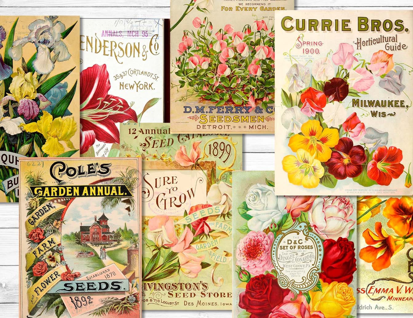 Flower Ephemera Digital Clip Art 50 .png Files Around 5 Inch Tall Junk ...