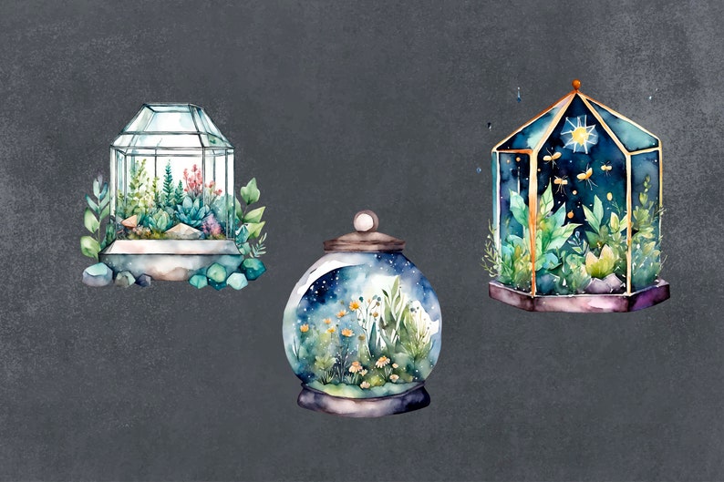Watercolor Terrarium Clipart: Enchanted Garden PNG Files (digital ...
