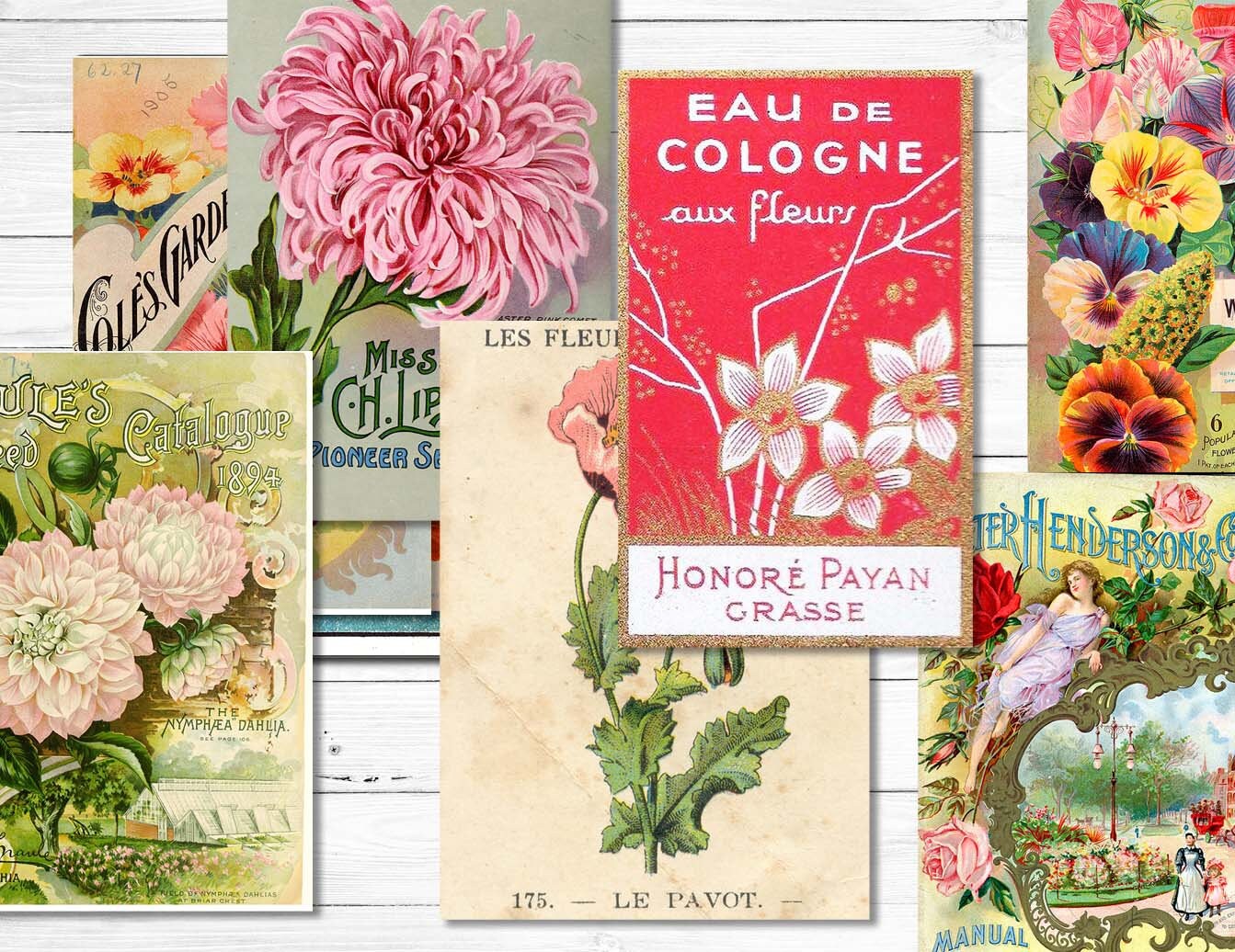 Flower Ephemera Digital Clip Art 50 .png Files Around 5 - Etsy