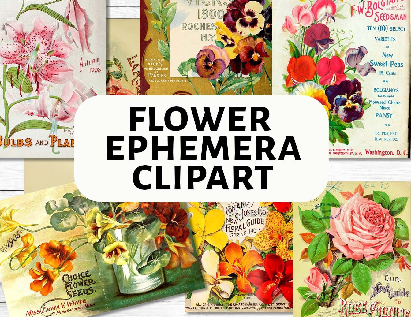 Vintage Flower Ephemera: Floral Clipart, Junk Journal (50 PNG Files) - Etsy