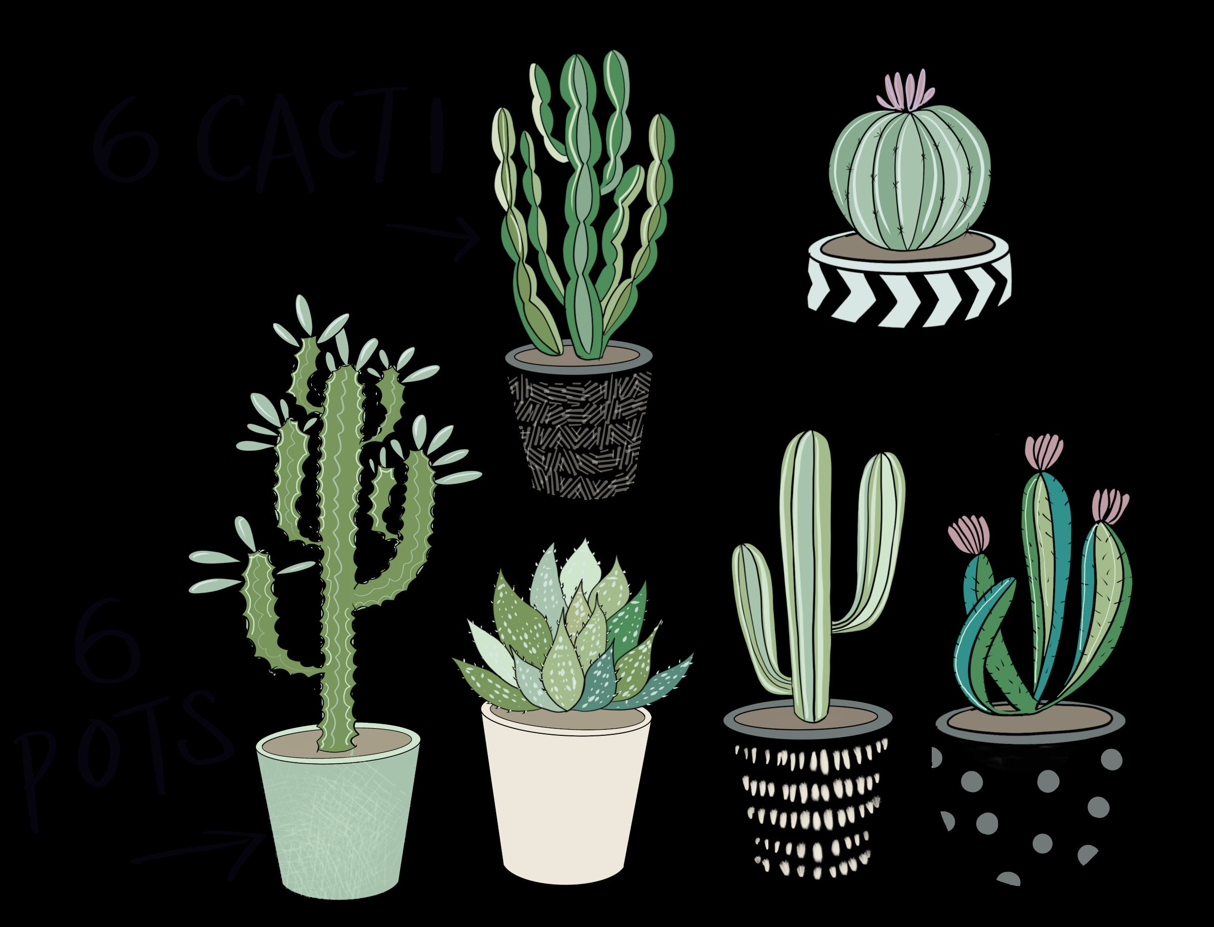 Cacti Cactus House Plants Potted Plants Digital Clipart - Etsy