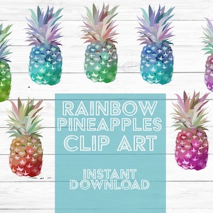Rainbow Pineapple Clip Art Multi Color Digital Clipart - Etsy