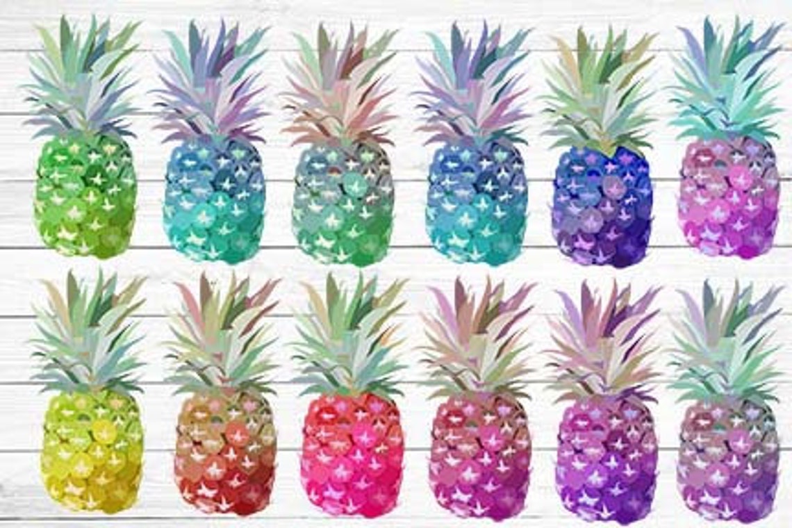 Rainbow Pineapple Clip Art Multi Color Digital Clipart - Etsy