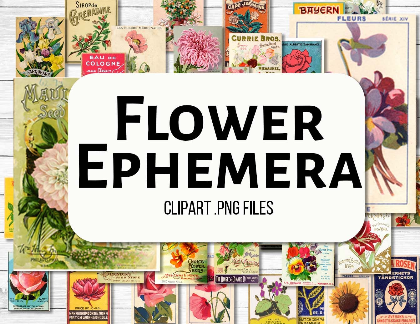 Vintage Flower Ephemera: Floral Clipart, Junk Journal (50 PNG Files) - Etsy