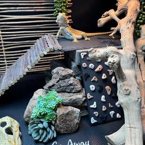 NEW Strengthened Rock Climbing Ramps for Bearded Dragons Geckos & Other ...