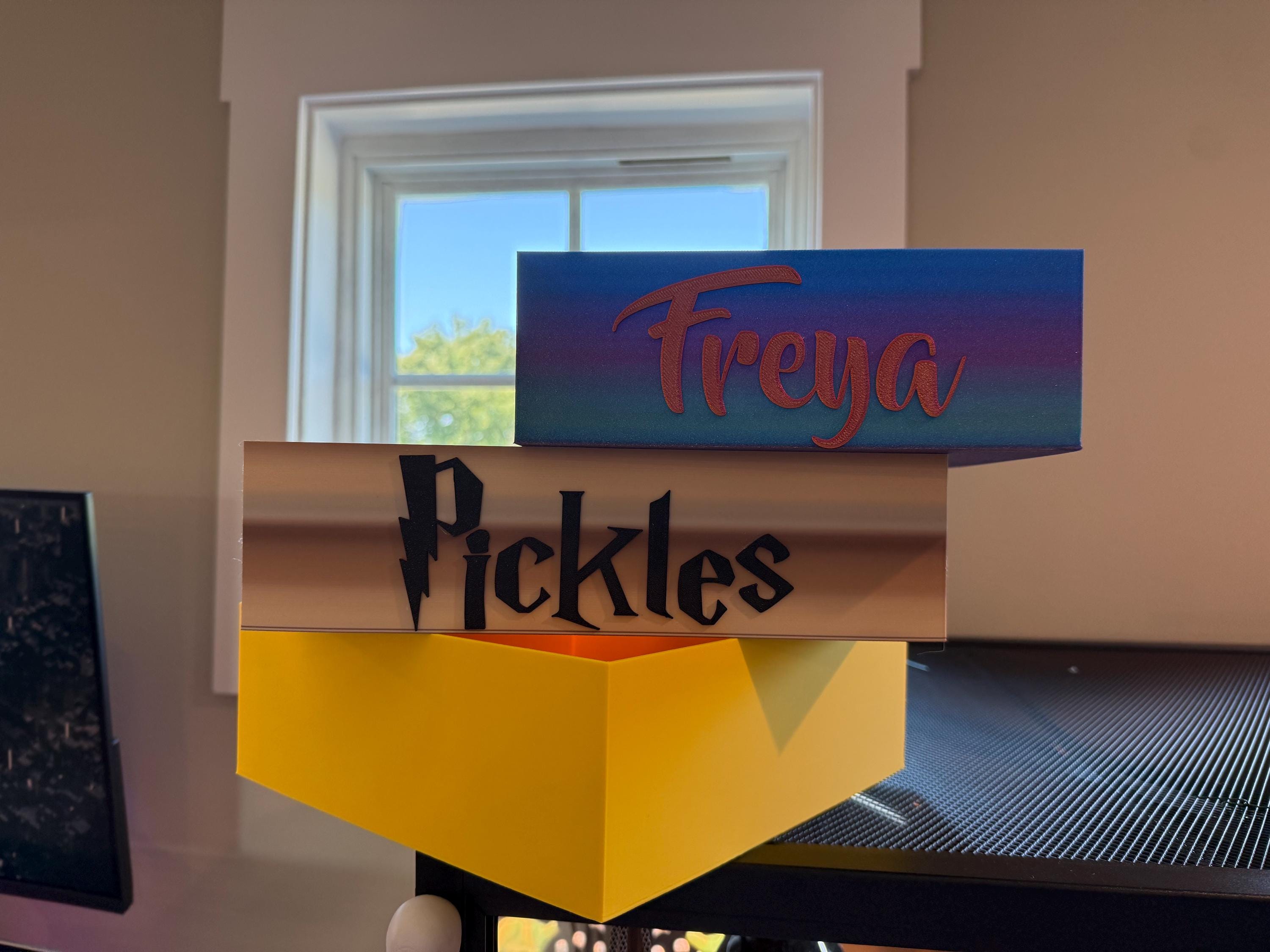 NEW Reptile Small Pet Dig Box Customized W/name 3D Printed Several ...