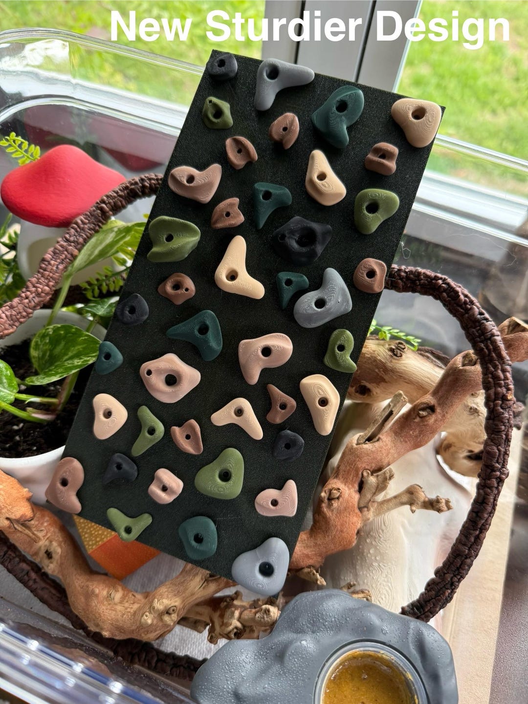 NEW Strengthened Rock Climbing Ramps for Bearded Dragons Geckos & Other ...