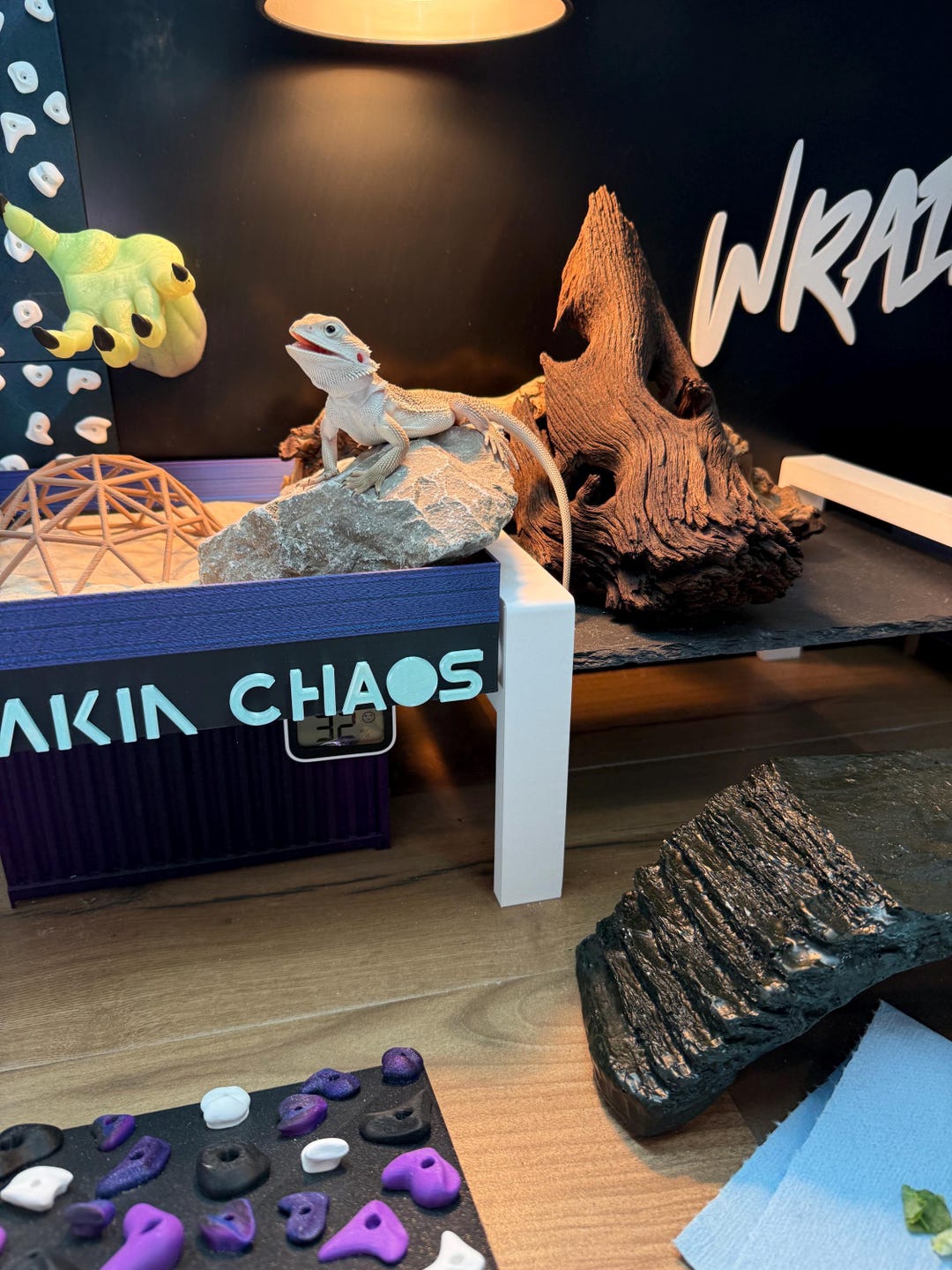 NEW Reptile Small Pet Dig Box Customized W/name 3D Printed Several ...