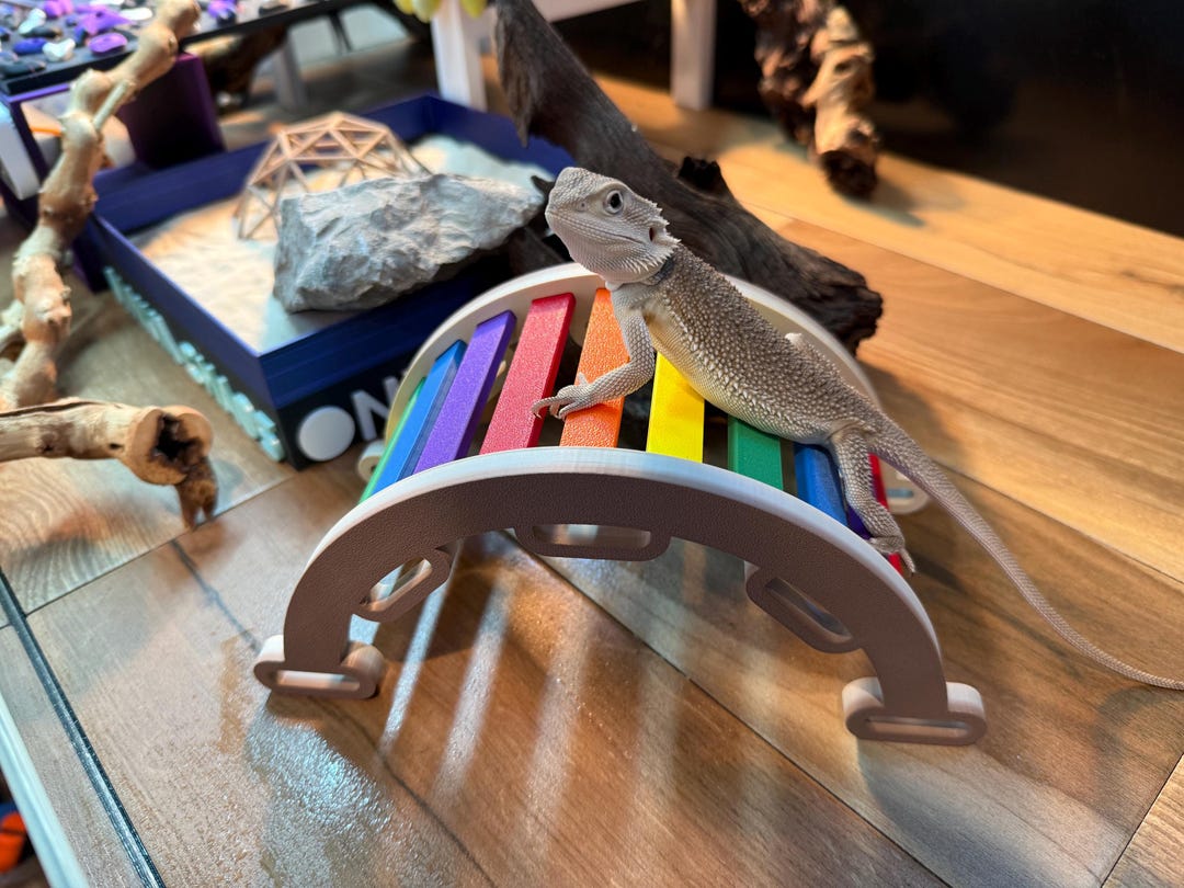 NEW Beardie Crawler Climbing/rocker Toy Enrichment for Reptiles and ...