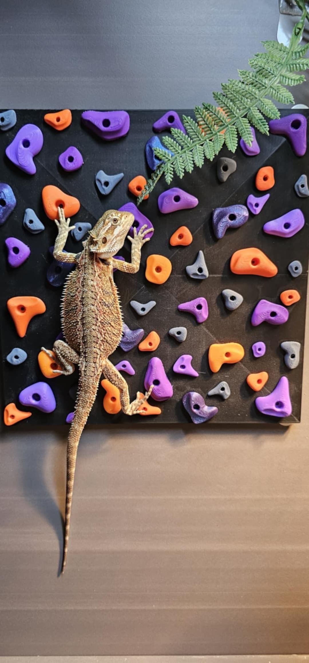 8”x8” 3D Printed Climbing Wall PANEL for Bearded Dragons & Other ...