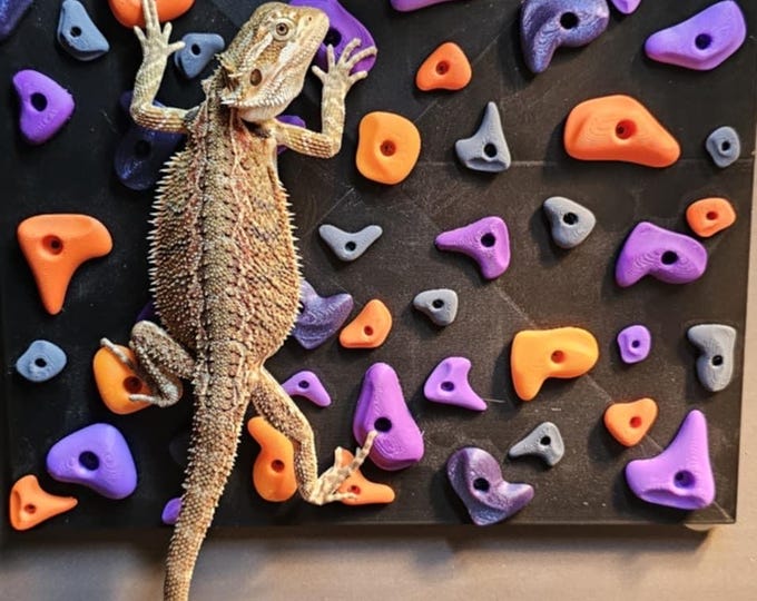 8”x8” 3D Printed Climbing Wall PANEL for Bearded Dragons & Other ...