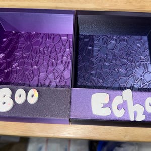 Bearded Dragon Reptile Feeder Bug Box Original 2-3WK TAT - Etsy