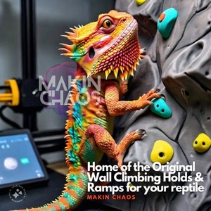 8”x8” 3D Printed Climbing Wall PANEL for Bearded Dragons & Other ...