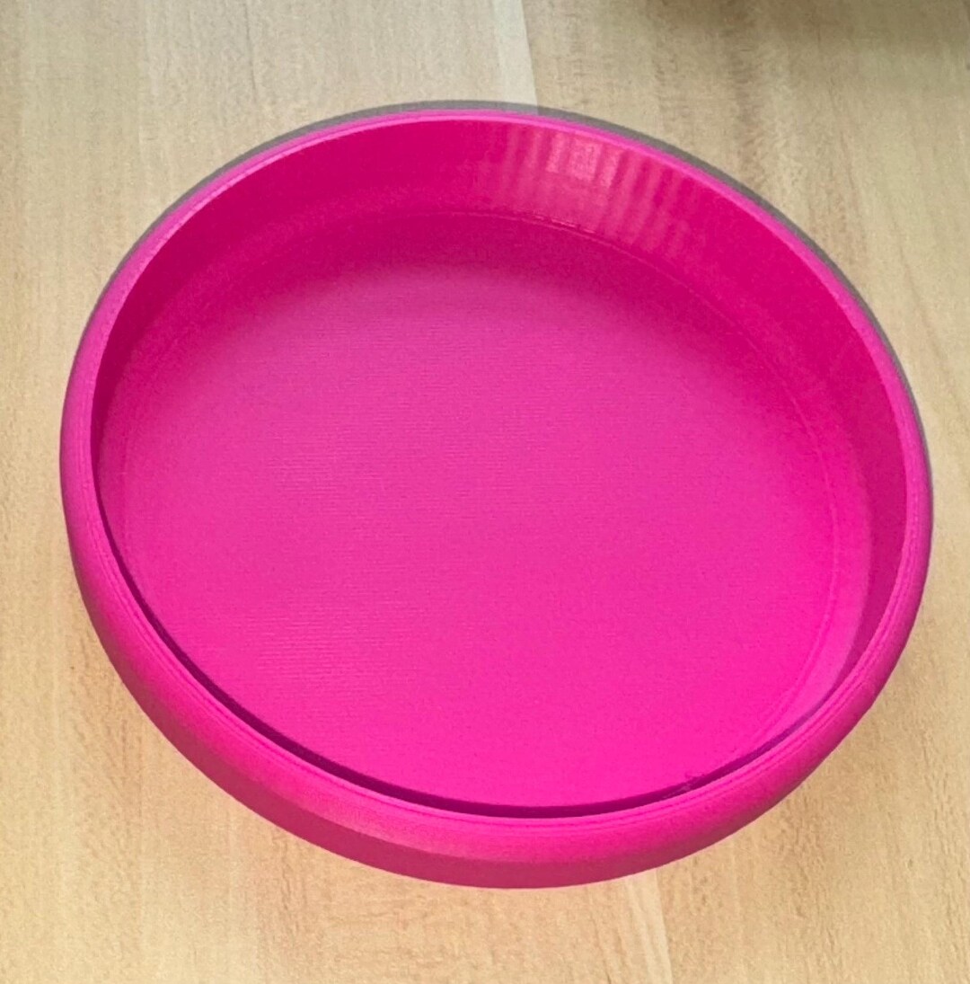 Custom Bearded Dragon Reptile Food Bowls 5" 2-3WK TAT - Etsy