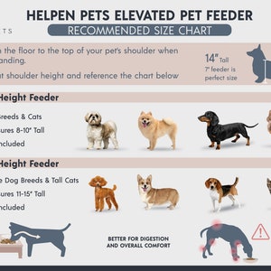 Elevated Dog Cat Pet Feeder | HUMAN GRADE 304 Stainless Bowls | Raised ...