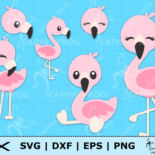 Jungle Animals SVG. PNG. Cricut Cut Files Layered Files. | Etsy