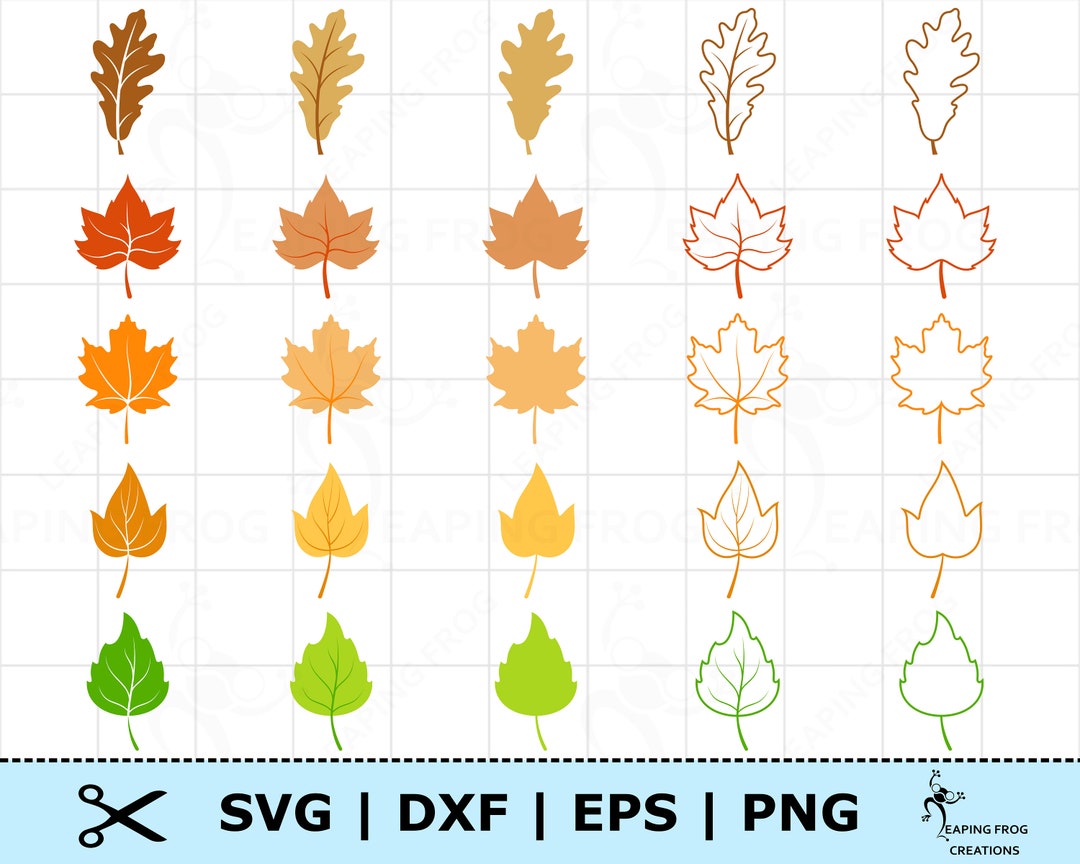Fall Leaves SVG. PNG. Cut, Layered Files. Cricut, Silhouette, Cameo ...