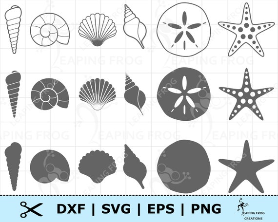 Seashells SVG. Cricut Cut Files. Layered Files. Silhouette. | Etsy