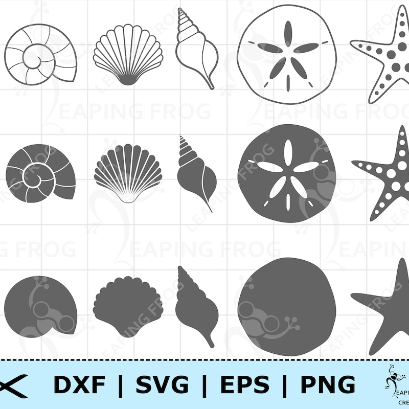 Seashell Svg - Etsy