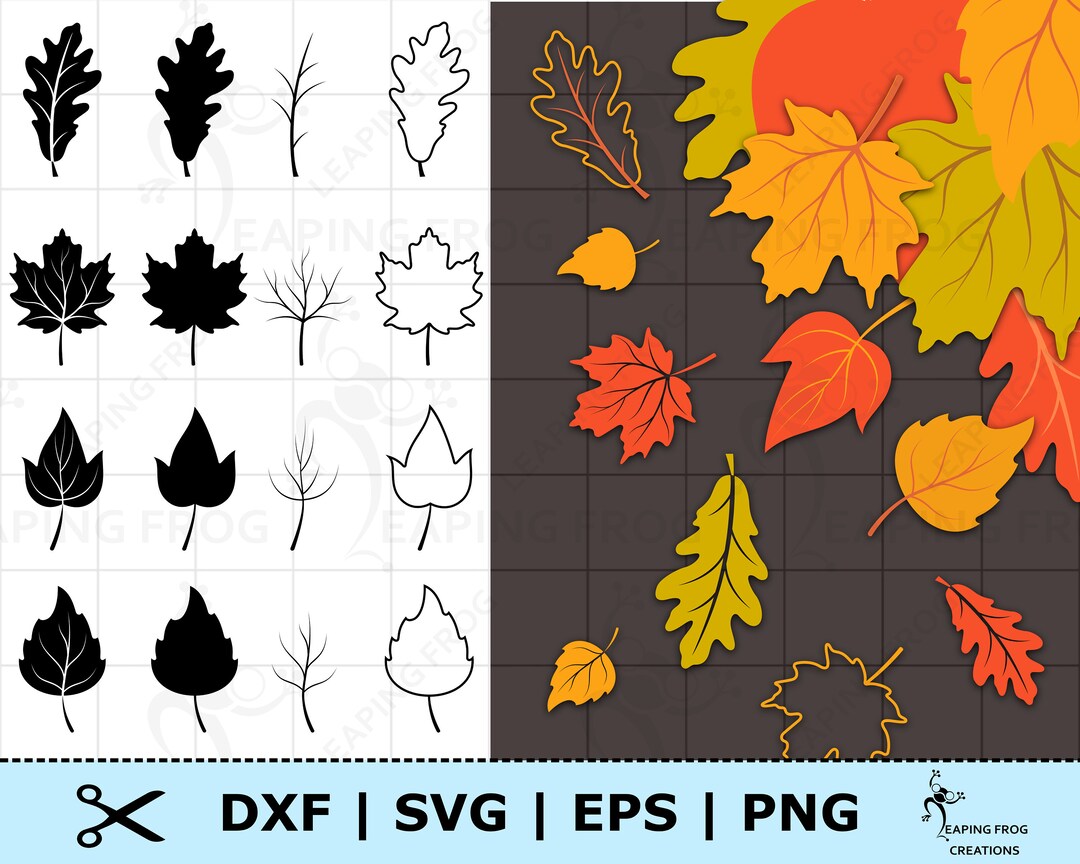 Fall Leaves SVG. PNG. Cut, Layered Files. Bundle, Set, Autumn. DXF, Eps ...