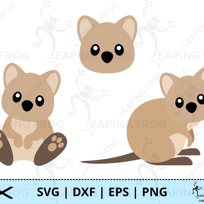 Quokka Svg - Etsy