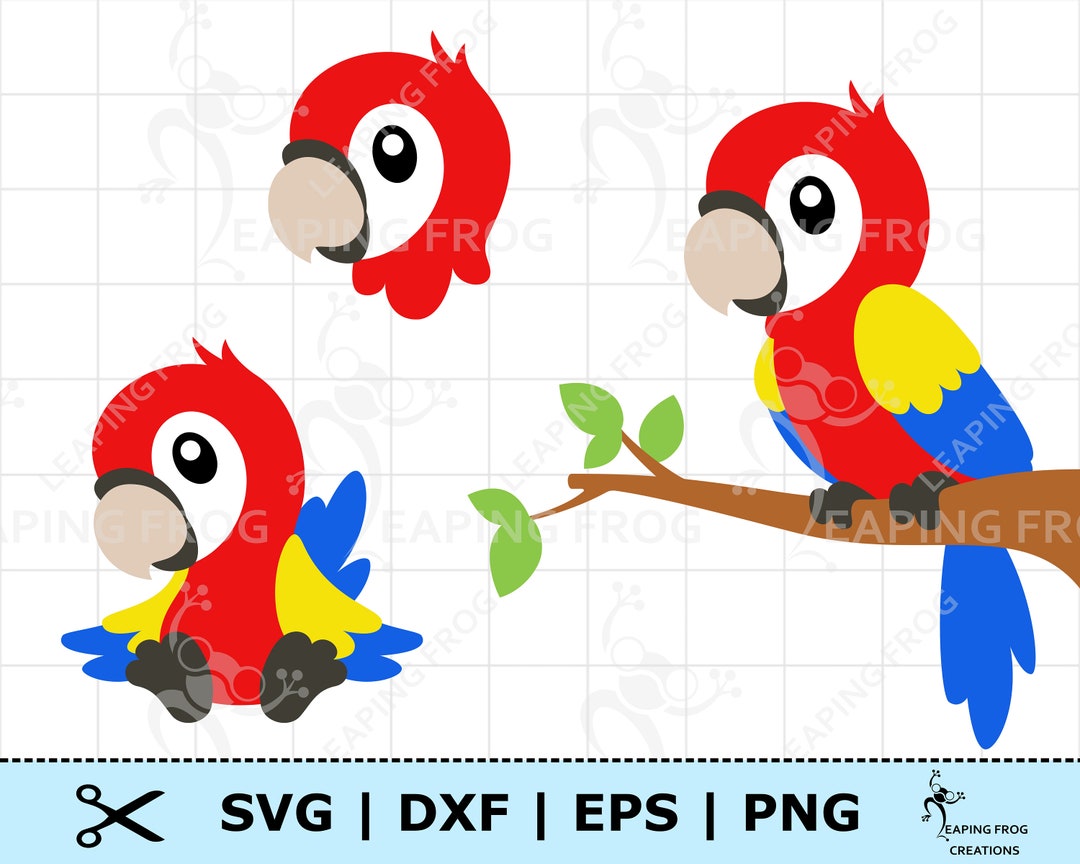 Parrot SVG. PNG. Cricut Cut Files, Silhouette, Layered. Jungle Birds ...