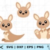 Australian Animals SVG, Wild Animals Clipart, Koala PNG, Kangaroo ...