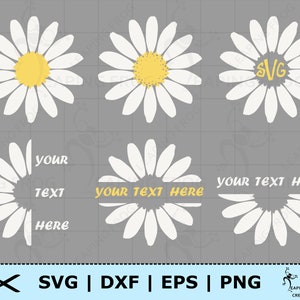 Daisy Set SVG. PNG. Flowers. Cricut Silhouette Cut Files. | Etsy