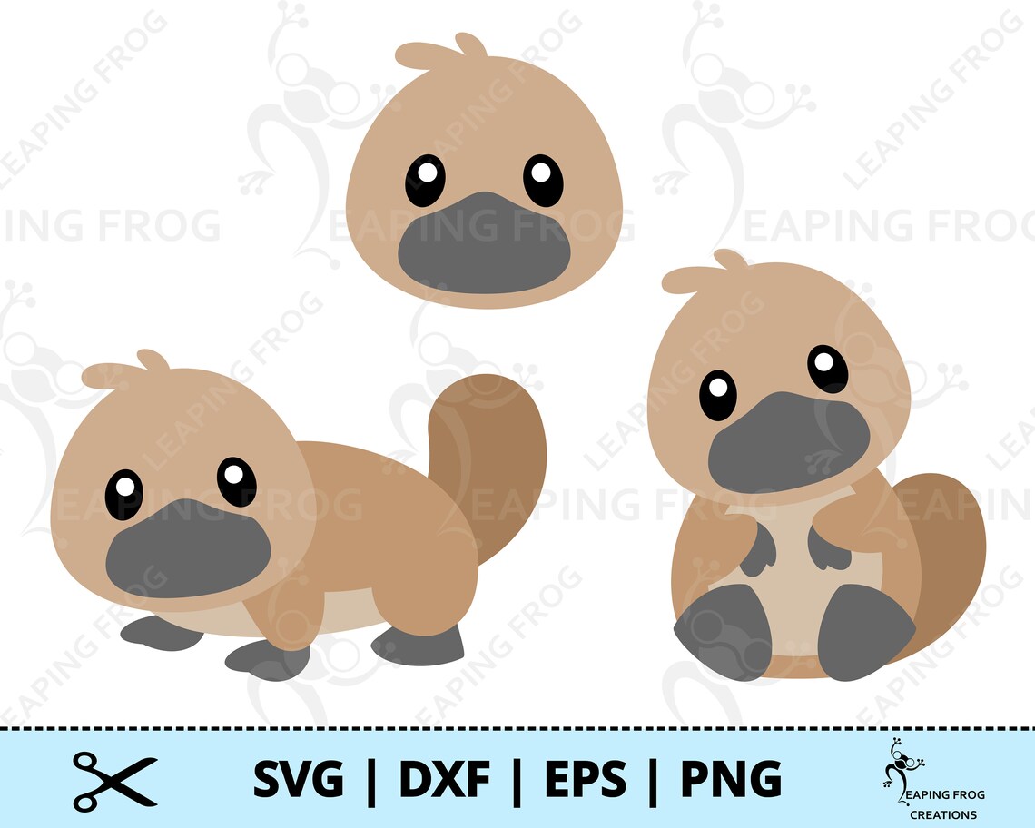 Platypus SVG. PNG. Cricut Cut Files, Layered. Silhouette Files ...