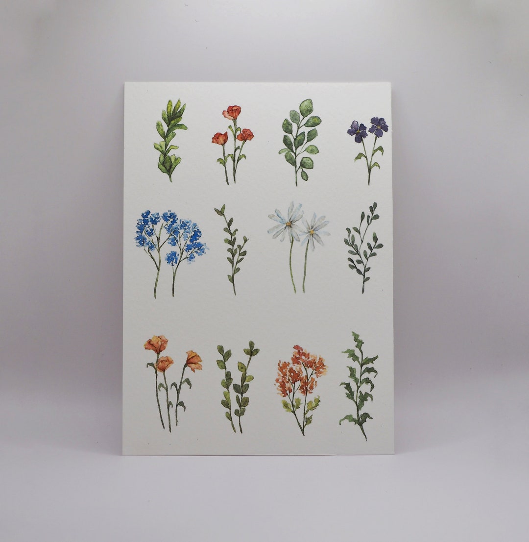 Watercolor PRINT of Mini Wildflowers/ Botanical Set/ 5x7 UNFRAMED ...