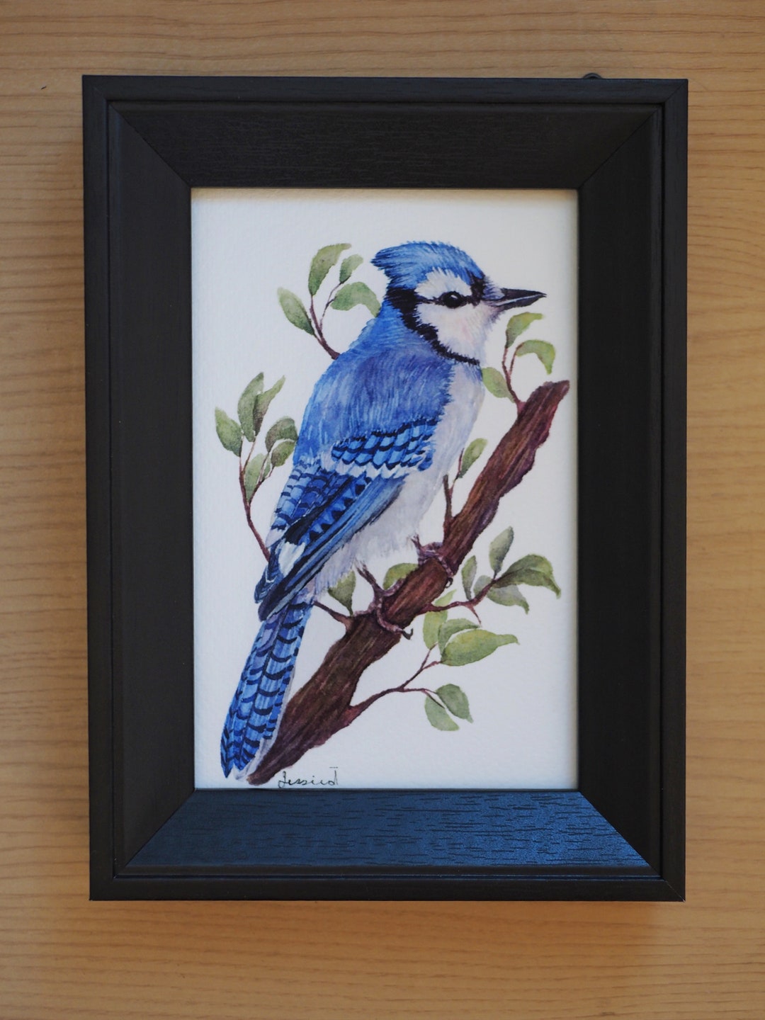 Bluejay Watercolor Giclee Print Only/unframed/4x6/nature - Etsy