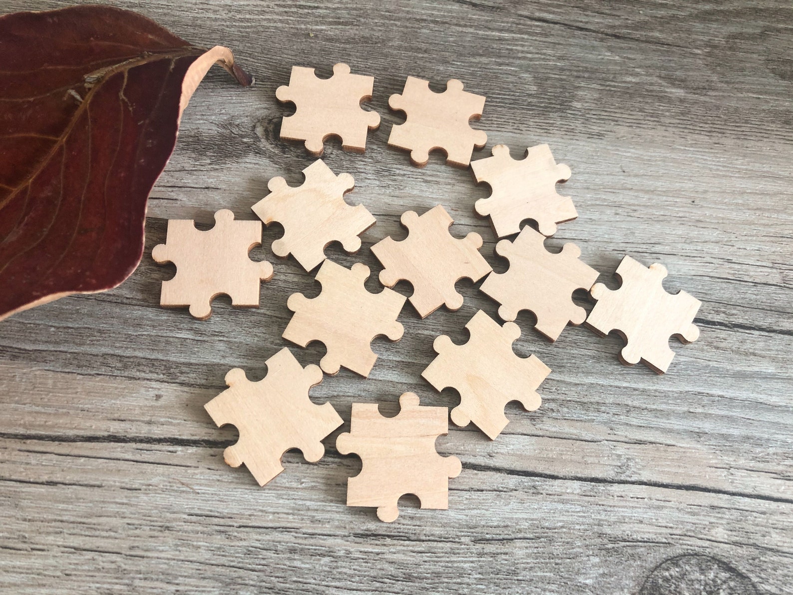 Blank Wooden Jigsaw Craft Shapes 3mm Plywood Build Your Own | Etsy