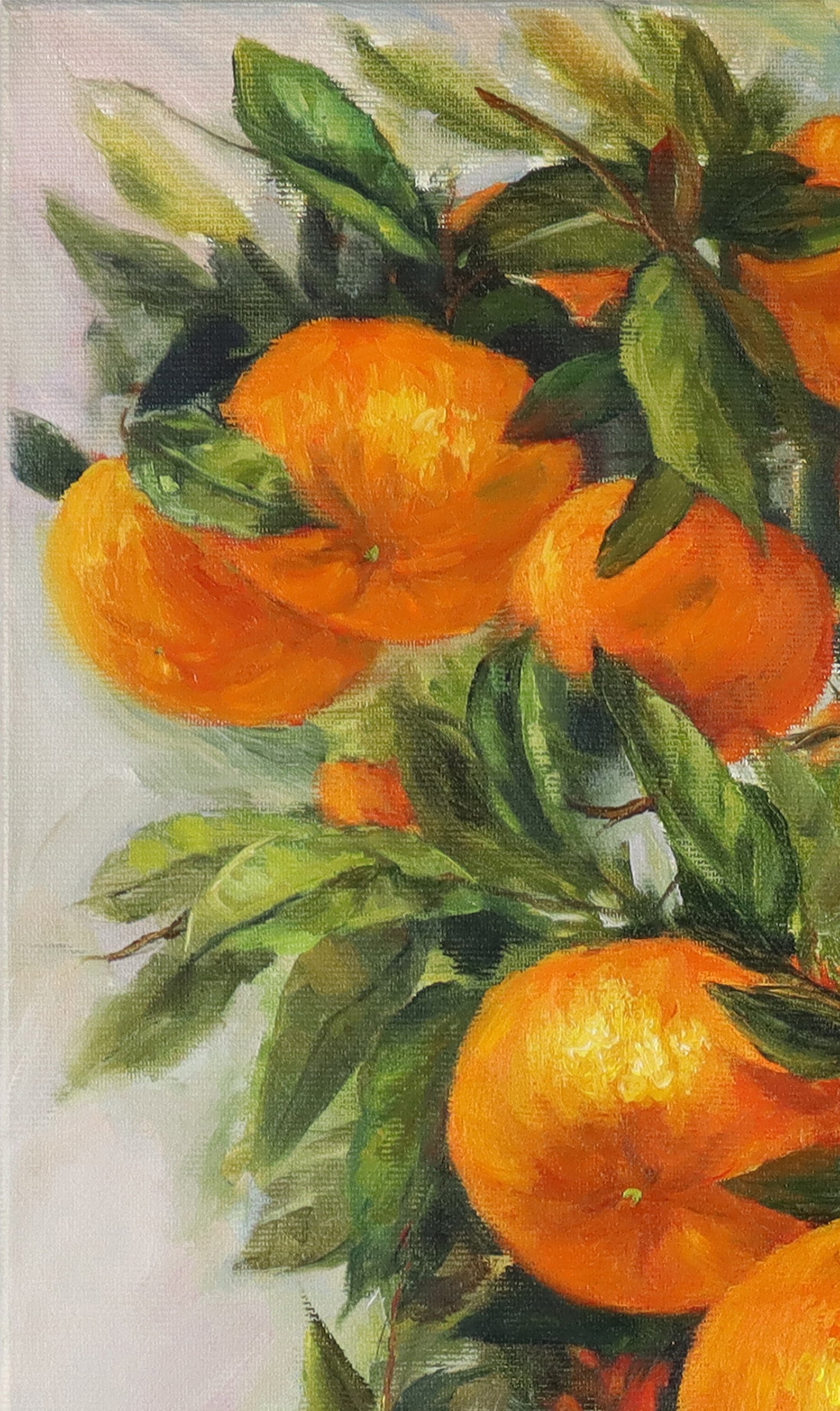 Original Oil Painting on Canvas Citrus Tree Orange Tree - Etsy