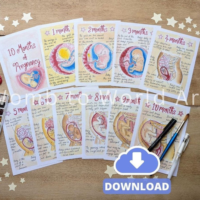 Fetal Pictures - Etsy UK