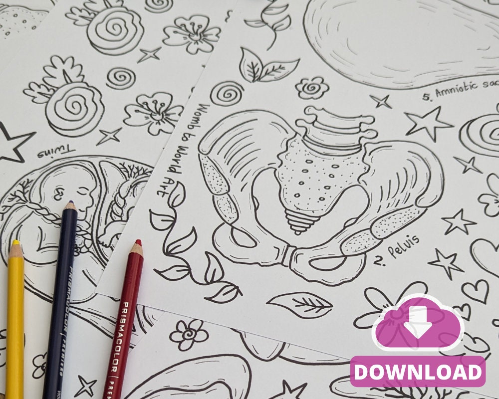 DIY Womb Baby Art Download Kit Pregnancy Anatomy Twins - Etsy Australia