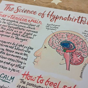Science of Hypnobirthing Handout: Birth Education Printouts for Doulas ...