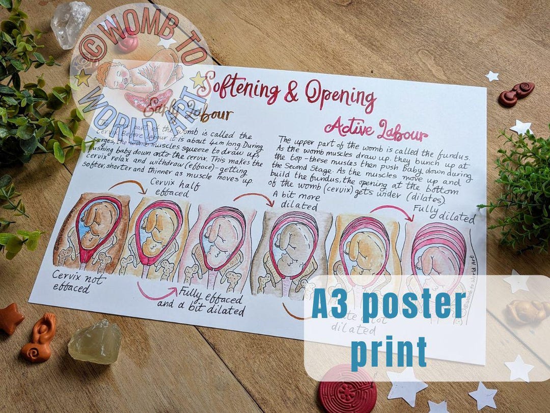 Hypnobirthing A3 Poster Teaching Tool | Soften and Open | Antenatal ...