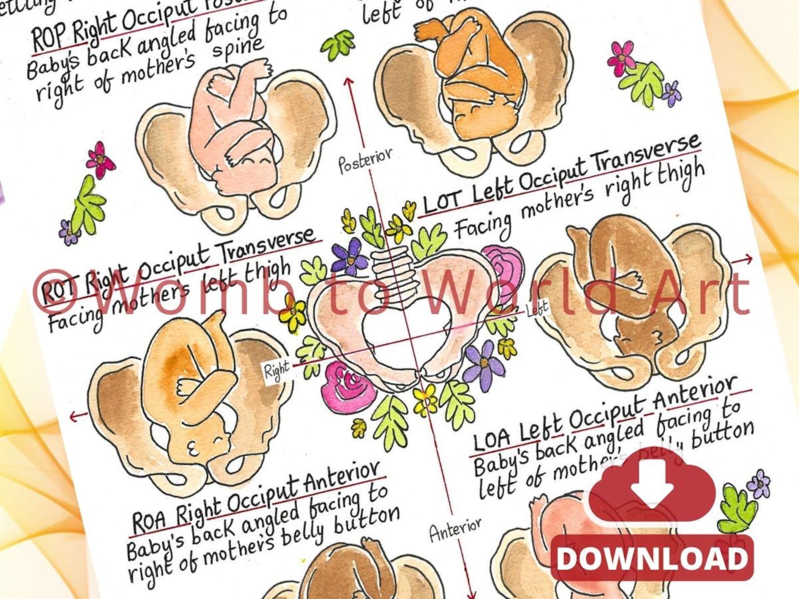 Cephalic Fetal Position Handout: Antenatal Education Prints for Doulas ...