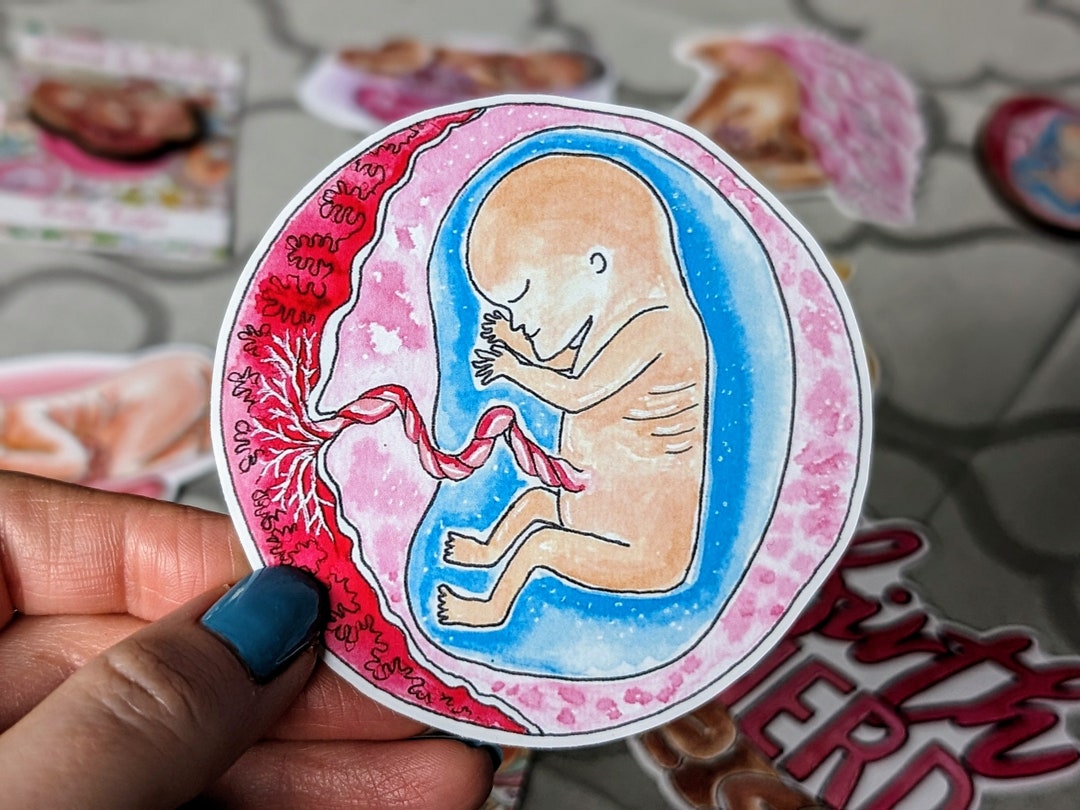 12 Week Fetus Sticker 8cm Midwife Stickers Doula Thank You Baby in the ...