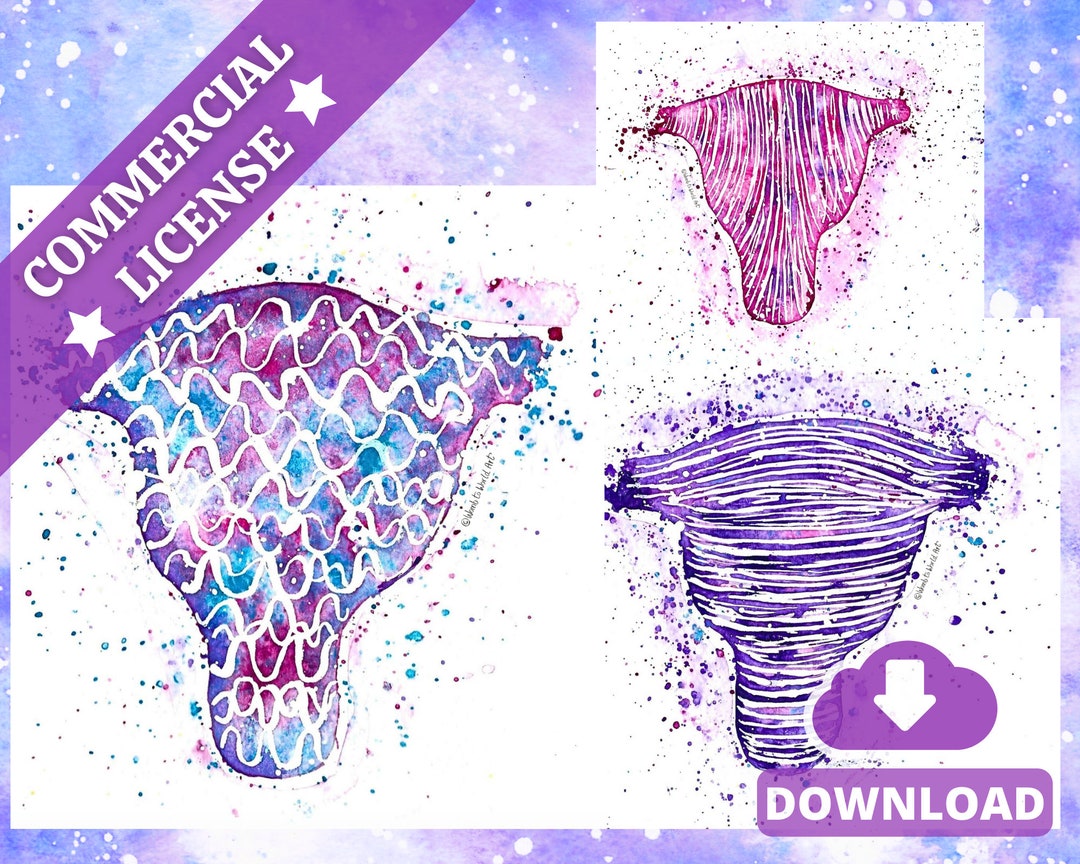 Layers of the Uterus Watercolor Paintings Birth Education PDF Download ...