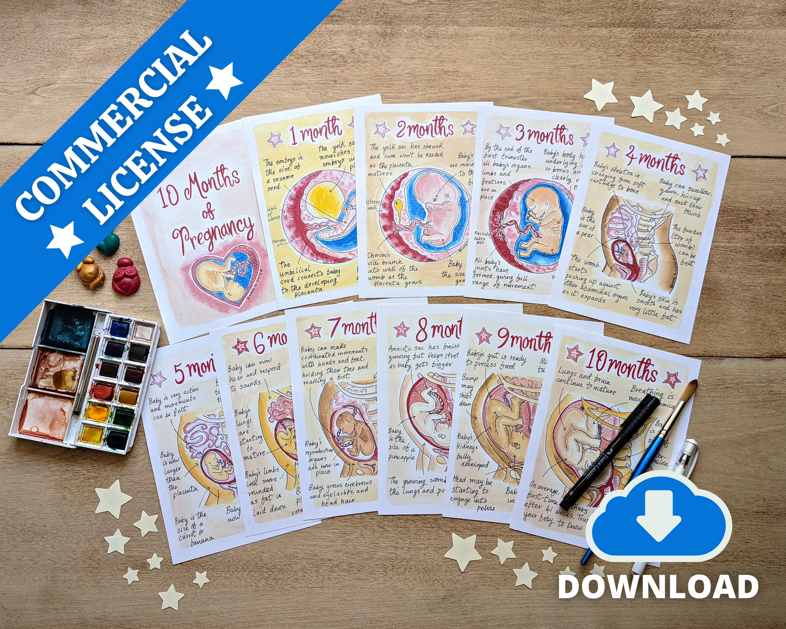 Ilustraciones de las etapas del embarazo Descarga PDF / - Etsy México