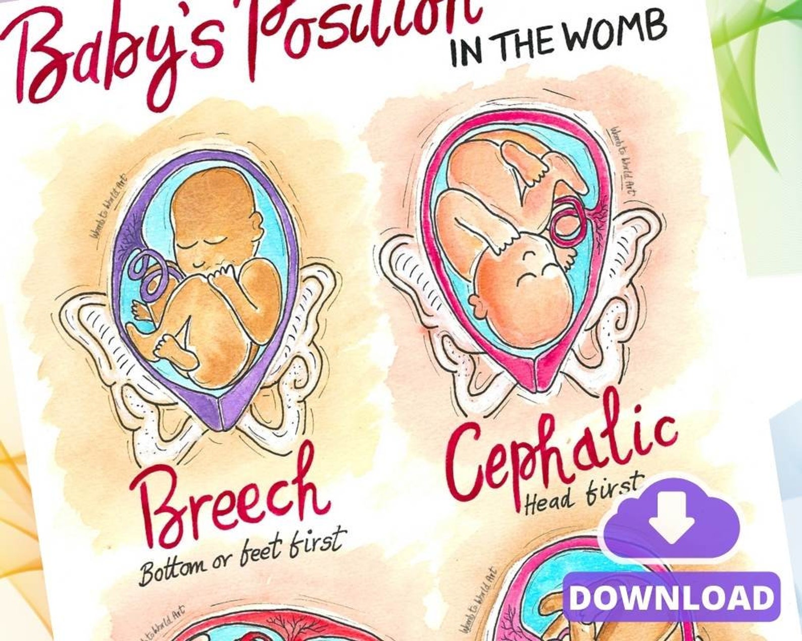 Fetal Baby Womb Positions A3 Printout Download PDF Pregnancy - Etsy